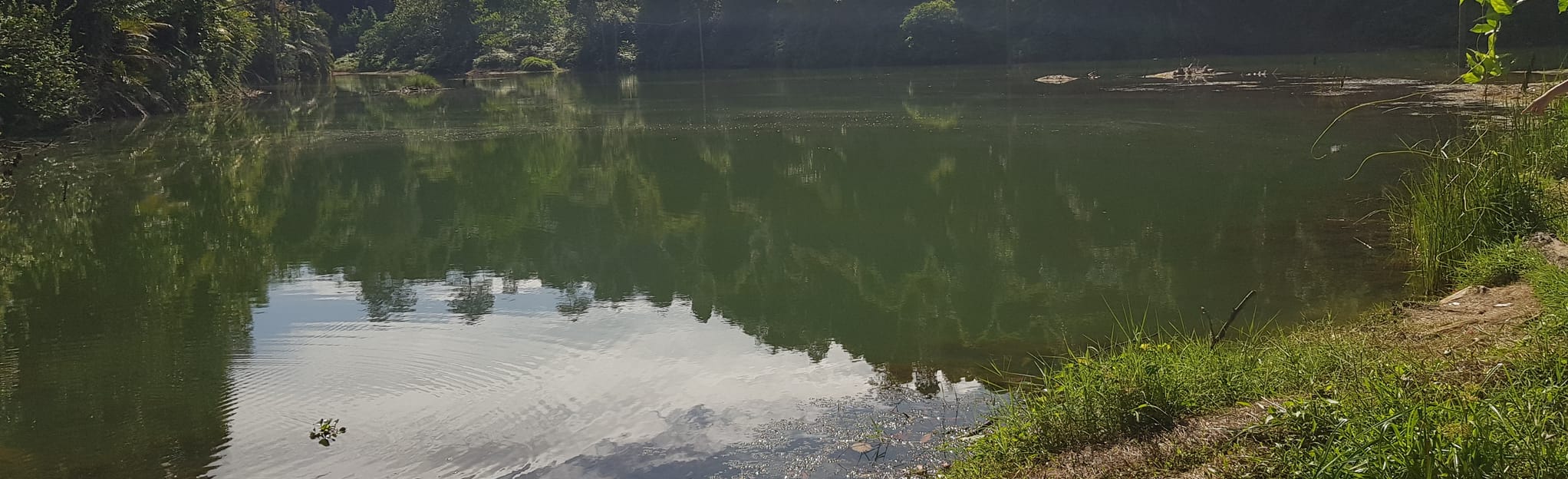 Long River Loop, Selangor, Malaysia - 20 Reviews, Map | AllTrails