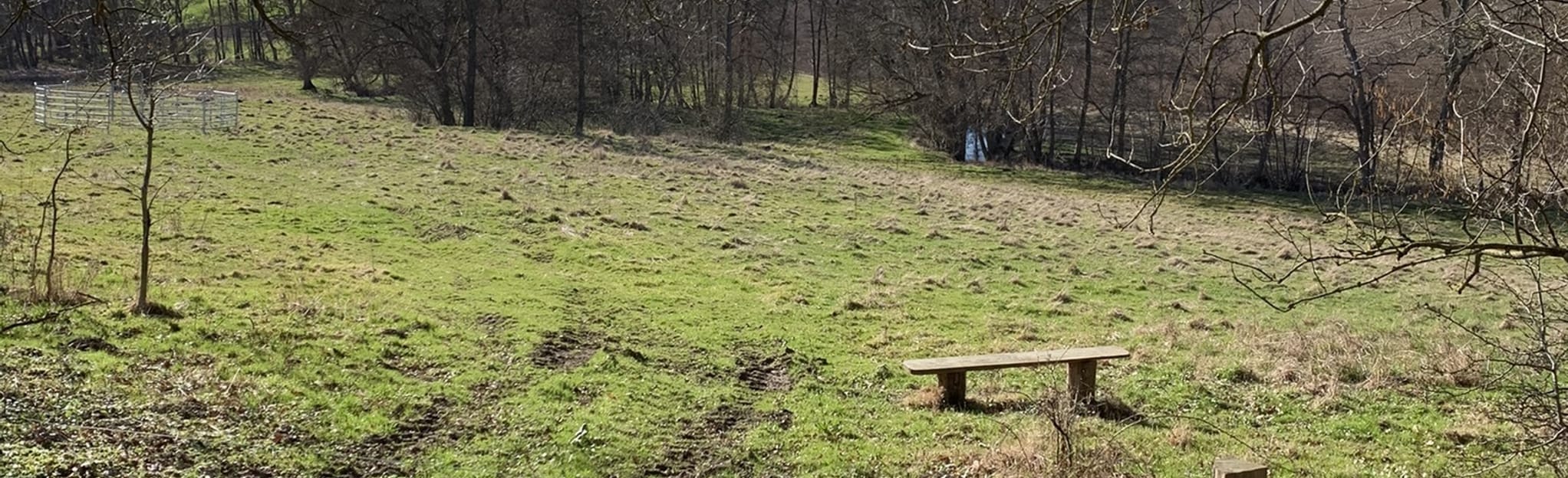 Beder - Vilhelmsborg Skov - Moesgård Have: 37 fotos - Jutlandia Central ...