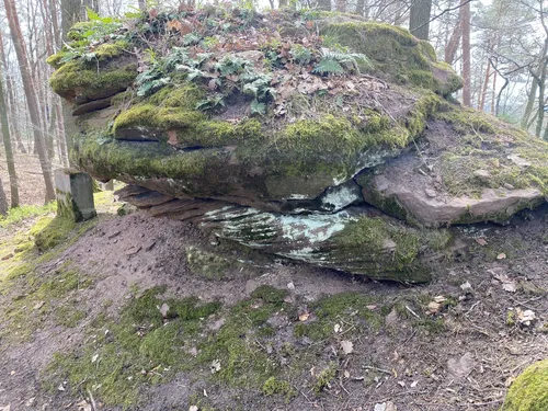 Best Camping Trails in Hauenstein | AllTrails