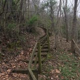 Jenny Wiley Trail, Kentucky - 57 Reviews, Map | AllTrails