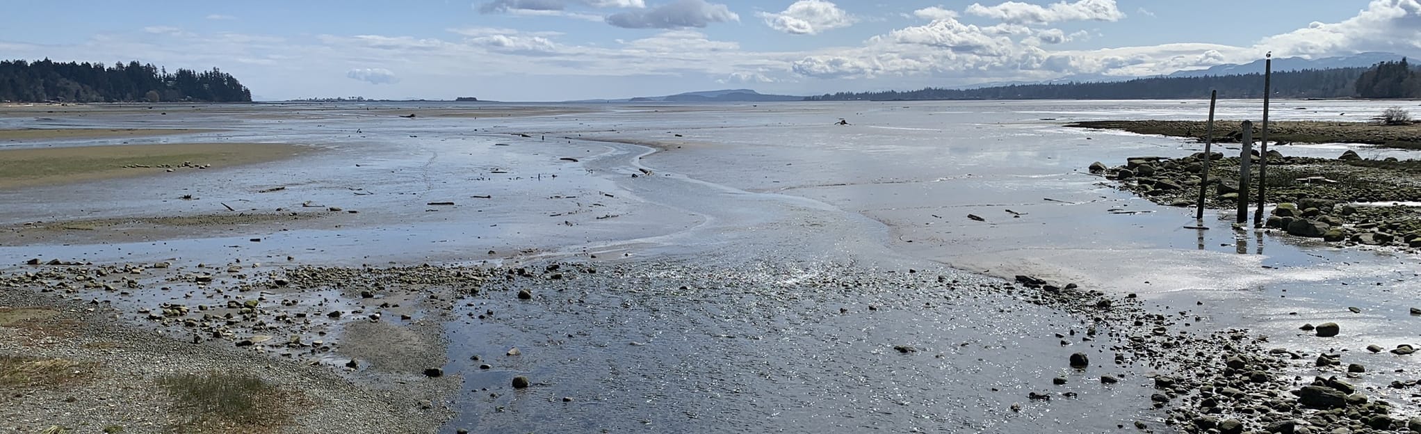 Courtenay Riverway Heritage Walk to Air Park: 98 Reviews, Map - British ...