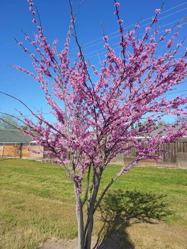 Best Hikes and Trails in Modesto | AllTrails