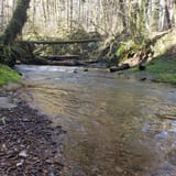 Four County Point Trail, Oregon - 116 Reviews, Map | AllTrails