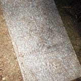 Four County Point Trail, Oregon - 116 Reviews, Map | AllTrails