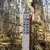 Four County Point Trail, Oregon - 116 Reviews, Map | AllTrails