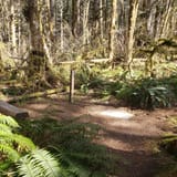 Four County Point Trail, Oregon - 116 Reviews, Map | AllTrails