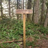 Four County Point Trail, Oregon - 116 Reviews, Map | AllTrails