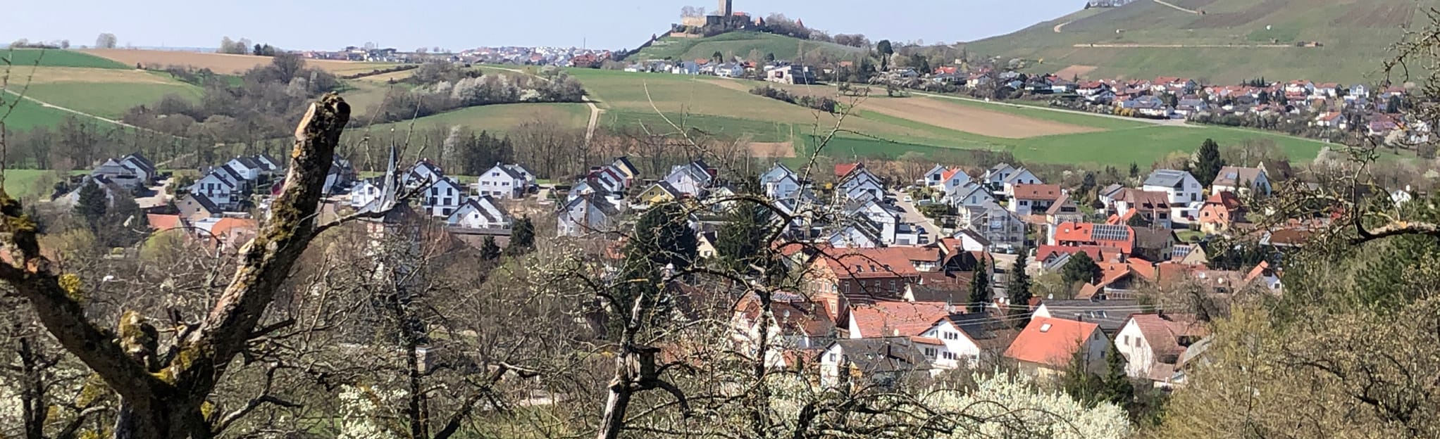 Oberstenfeld-Steinheim, Baden-Württemberg, Germany - Map, Guide | AllTrails