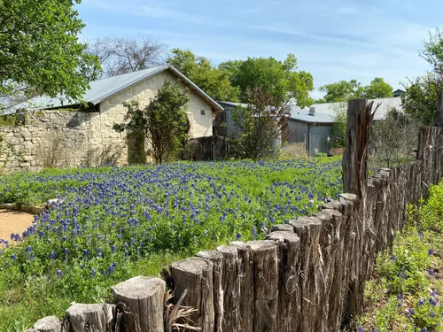 Best Hikes and Trails in Lady Bird Johnson Wildflower Center | AllTrails