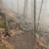 Appalachian Trail: Cooper Gap to Woody Gap , Georgia - 270 Reviews, Map ...