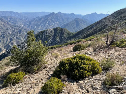 10 Best Trails and Hikes in Sunland-Tujunga | AllTrails