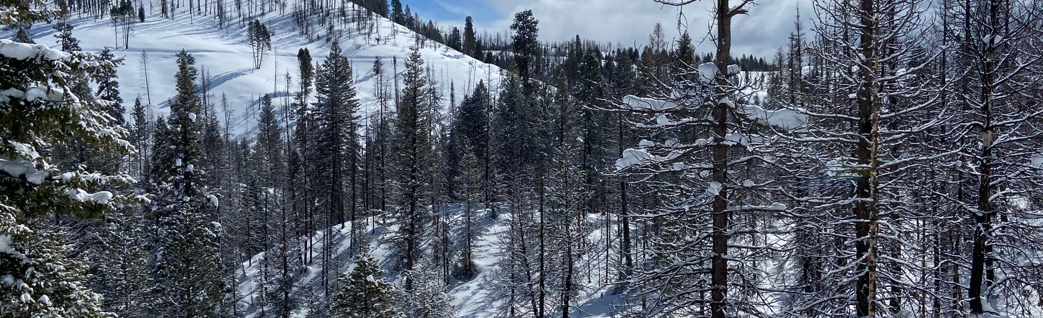 AllTrails | Banner Ridge Snowshoe Loop: 33 Reviews, Map - Idaho