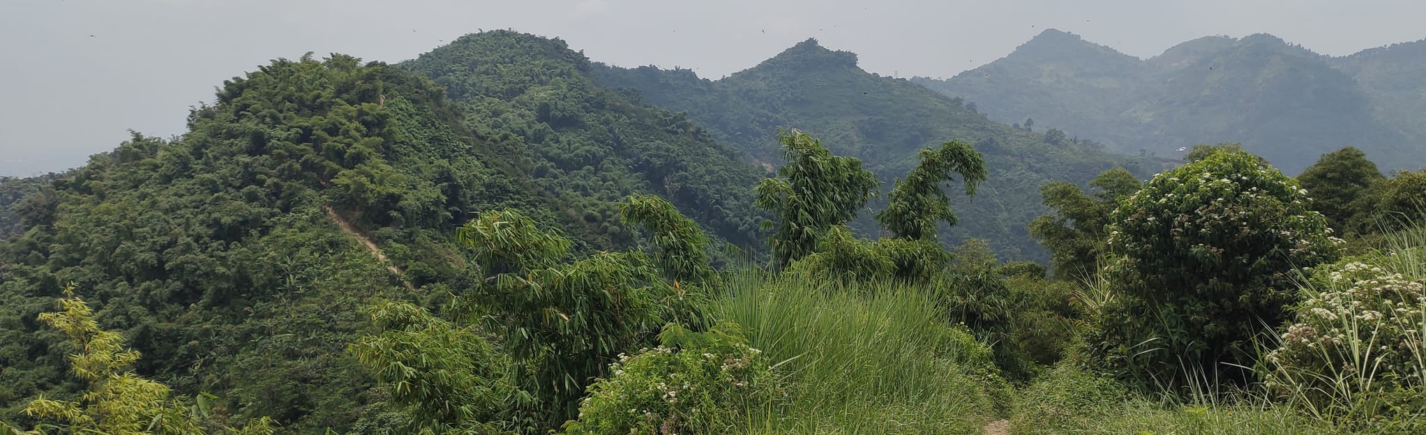 Mount Koromong, West Java, Indonesia - Map, Guide | AllTrails