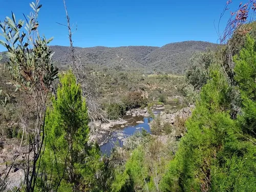 10 Best Hikes and Trails in Mount Ainslie Nature Reserve | AllTrails