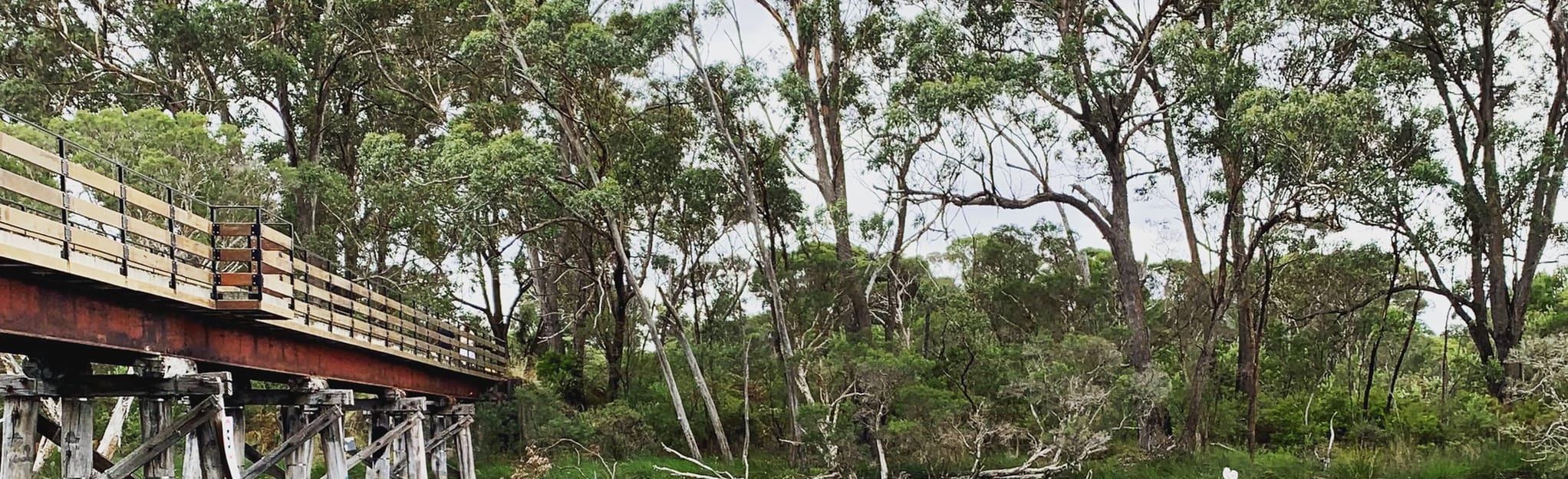 Wilson Inlet Heritage Trail: 66 Fotos - Western Australia, Australien ...