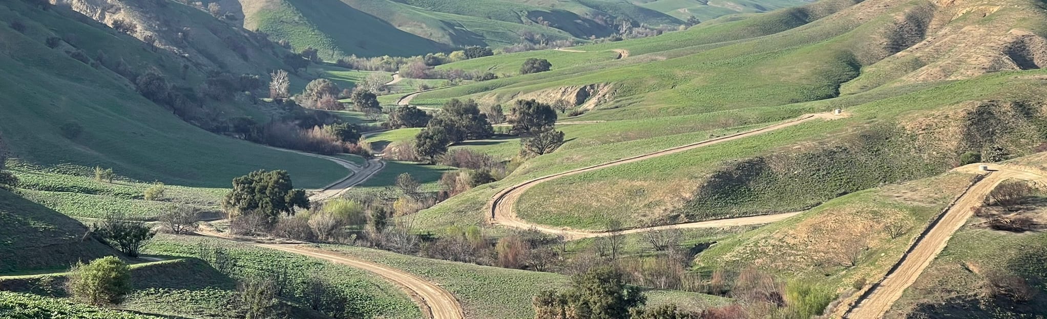 Skully Ridge and Lower Aliso Canyon Loop: 130 Reviews, Map - California ...