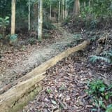 Kledang Hill Loop, Perak, Malaysia - 174 Reviews, Map | AllTrails