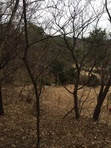Best Hikes and Trails in Pyeongtaek-si | AllTrails