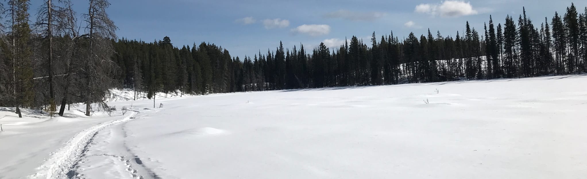 Wilson Lakes Loop: 7 Reviews, Map - British Columbia, Canada | AllTrails