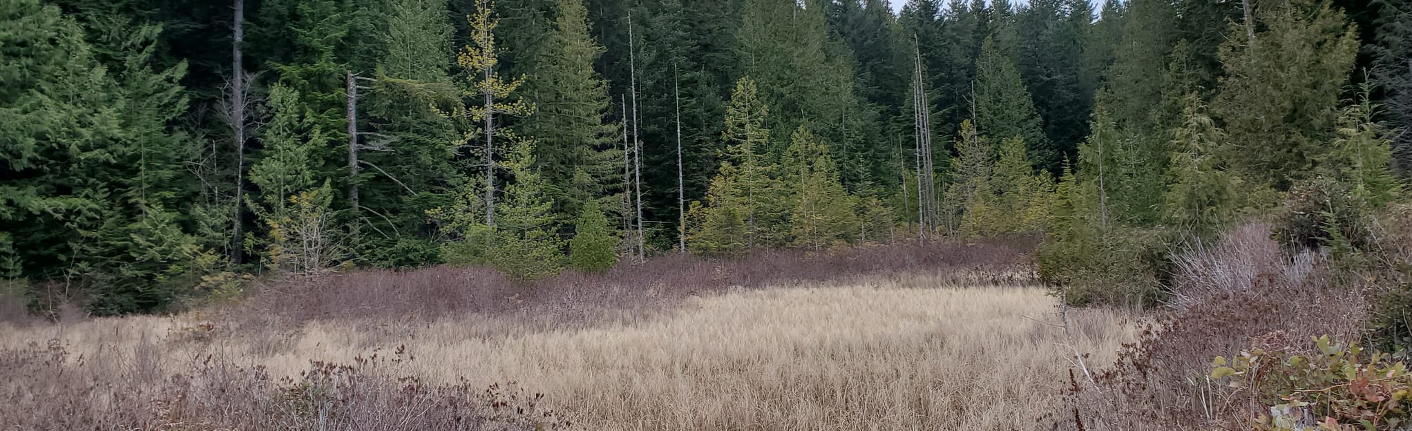 Homesite Creek Forest Service Road, British Columbia, Canada - 22 ...