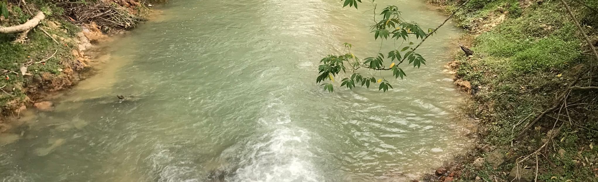 Jurong Eco Garden Loop - Central, Singapore | AllTrails