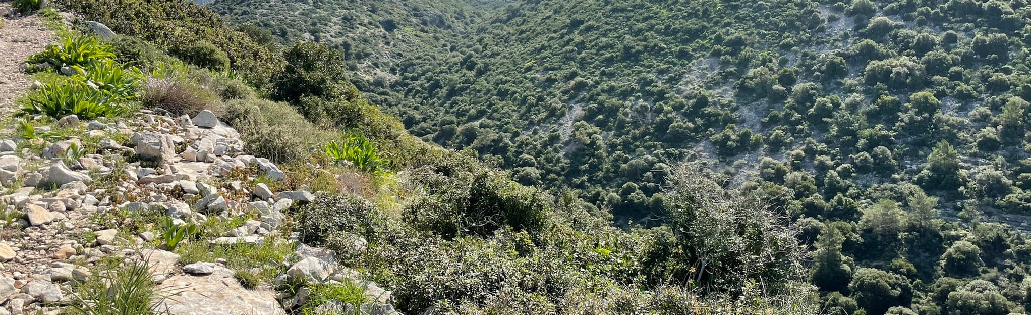 Tirat HaCarmel to Oranit Cave: 41 Fotos - Haifa, Israel | AllTrails