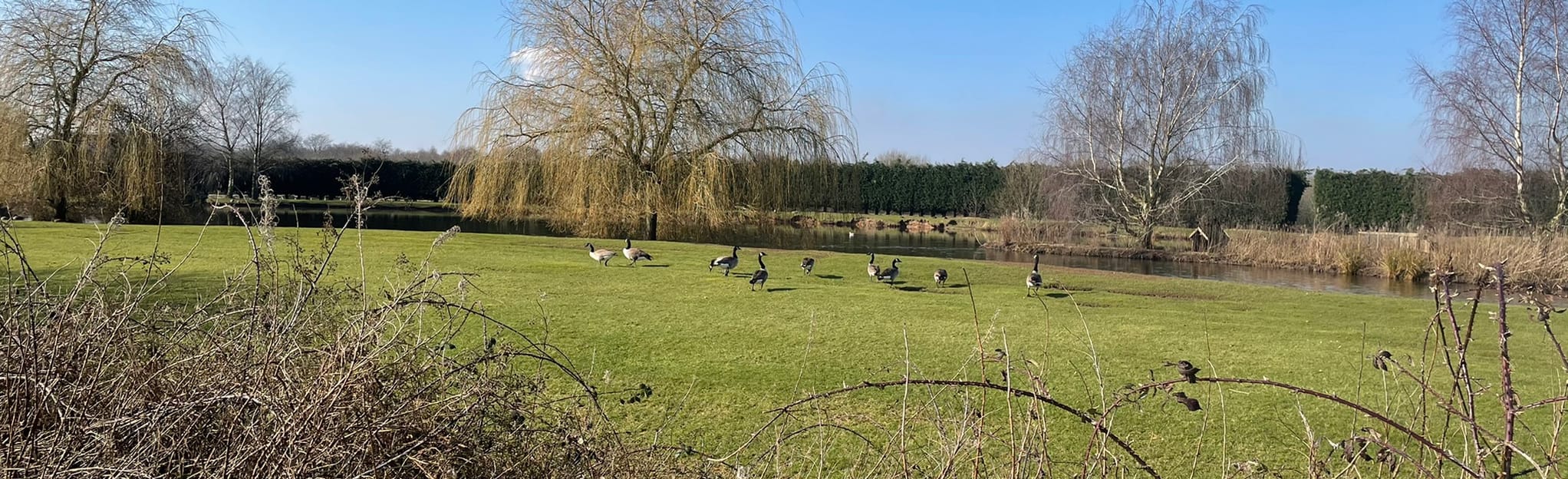 Lewis Carroll and Daresbury Circular - Cheshire, England | AllTrails