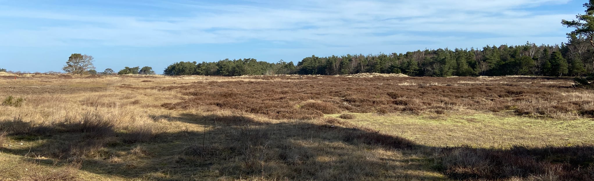 Asserbo Plantage Rundt: 39 Reviews, Map - Capital Region of Denmark ...