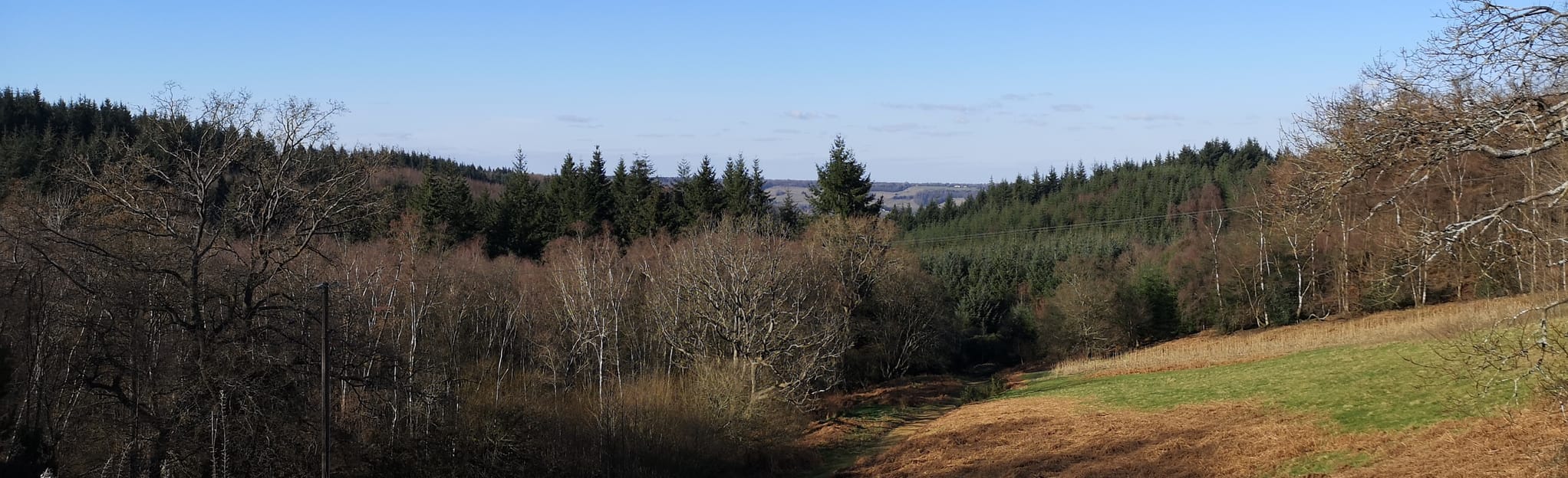 South Holmwood, Beare Green, and Coldharbour Circular: 113 Fotos ...