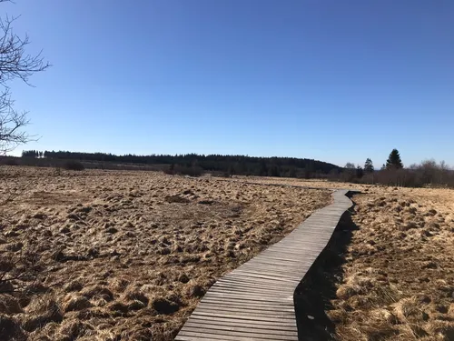 Natuurpark Hoge Venen – Eifel: de 10 beste routes om te wandelen ...