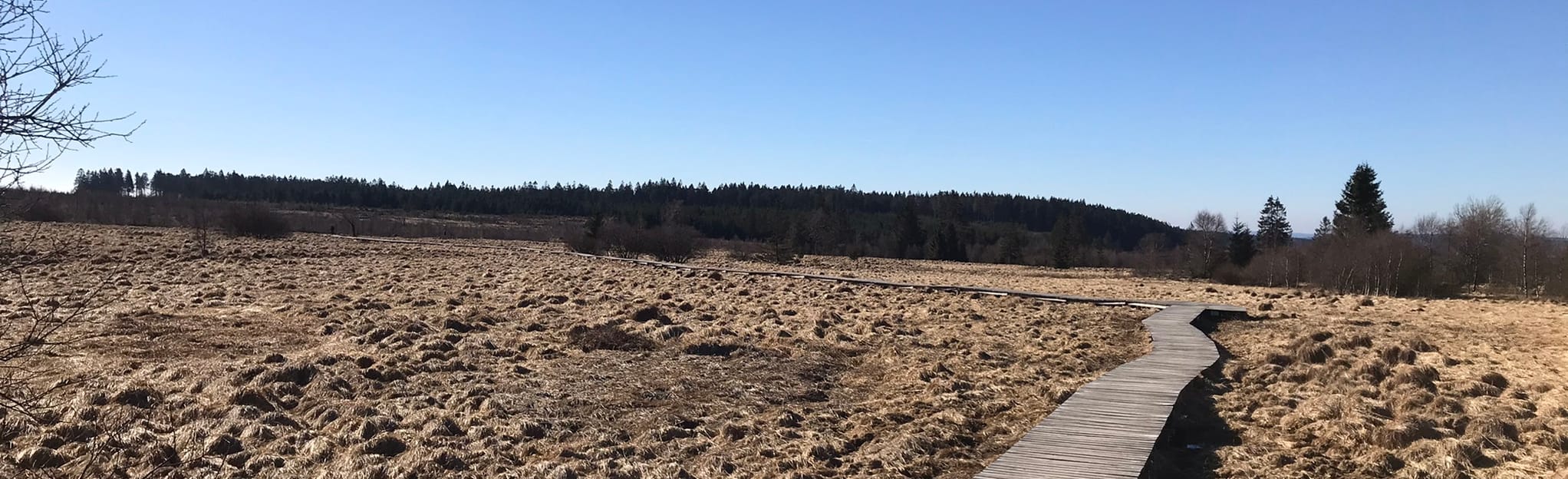 Baraque Michel Loop, Liège, Belgium - 189 Reviews, Map | AllTrails