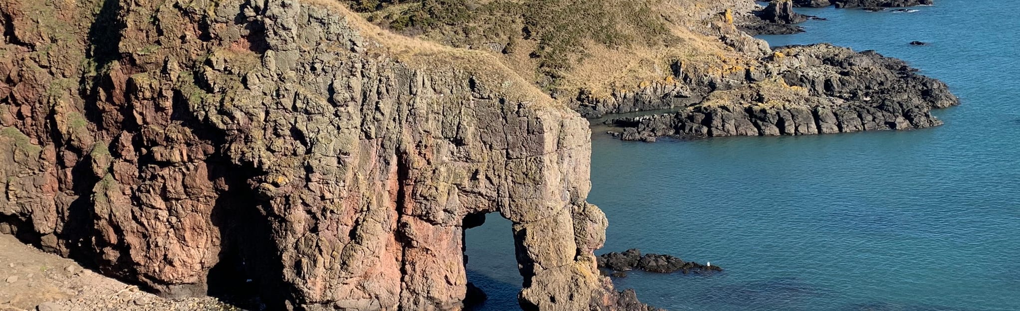 Elephant Rock to Boddin Point, Angus, Scotland - 36 Reviews, Map ...