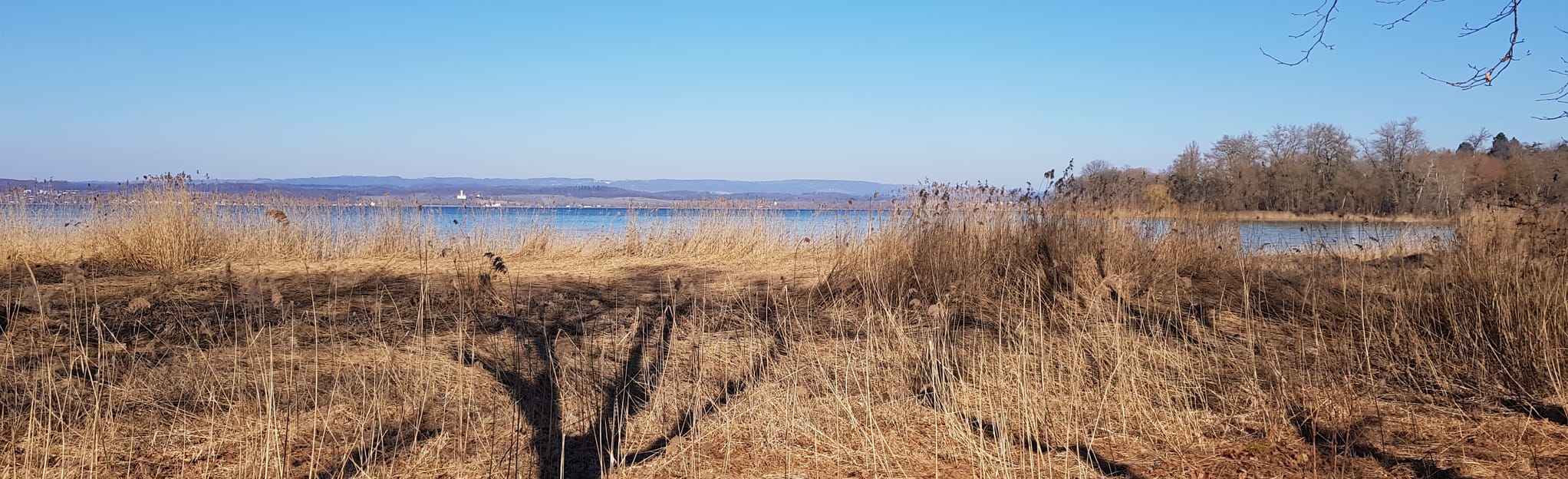 Premiumweg SeeGang Etappe 4: Ruine Kargegg - Insel Mainau, Baden ...