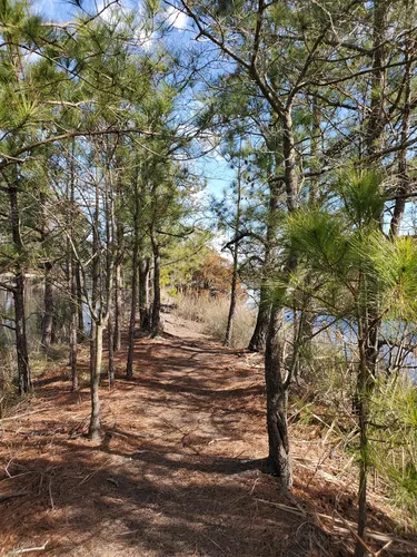 Best Hikes and Trails in Deep Creek Lock Park | AllTrails