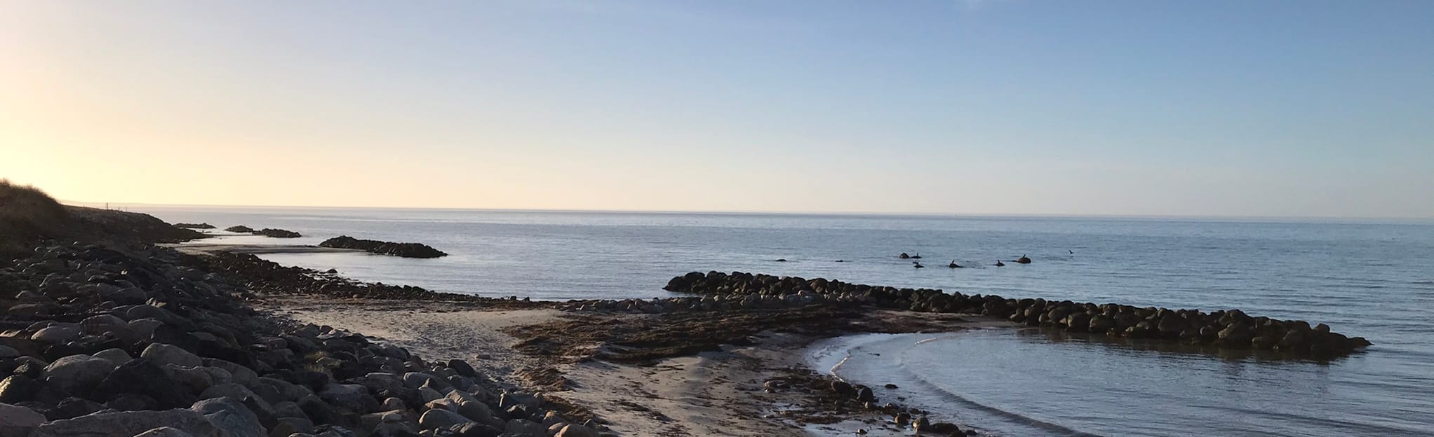 Ullerup Skov - Nøddebohuse - Grønnesse Skov | Map, Guide - Capital ...