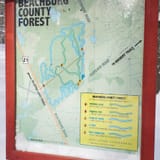 Beachburg Short Loop, Ontario, Canada - 36 Reviews, Map | AllTrails