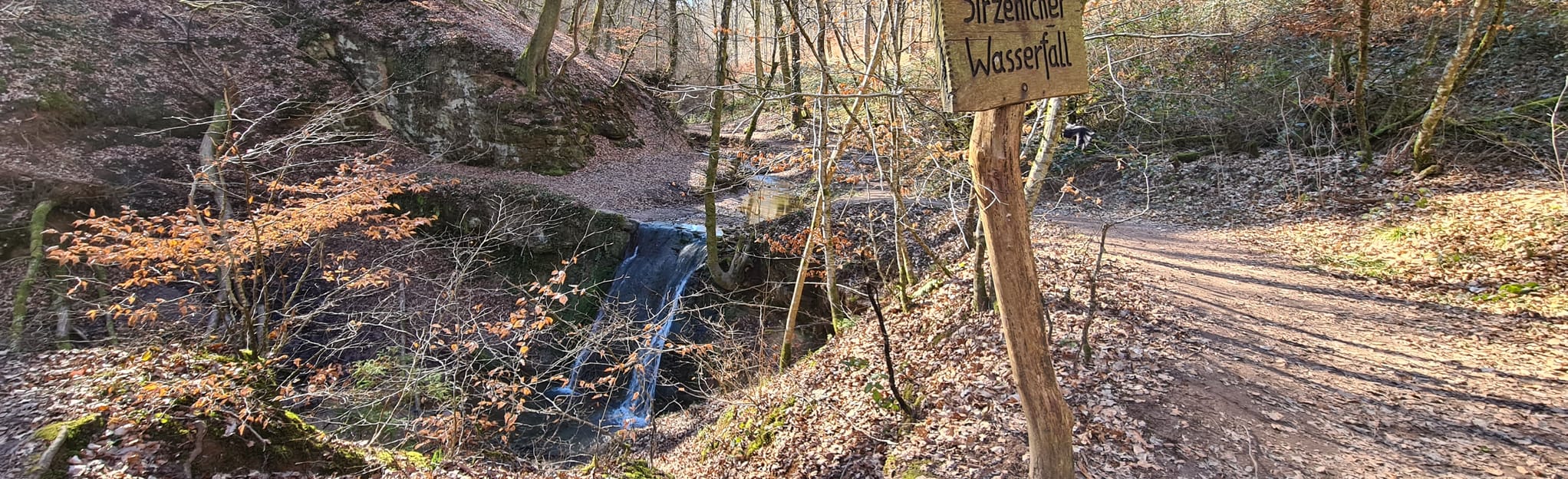 Eine Spur Wilder (Trierweiler-Sirzenich Nr. 6) - Rhineland-Palatinate ...