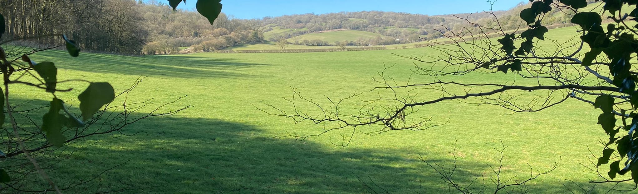 Winterborne Stickland and Winterborne Clenston Circular, Dorset ...