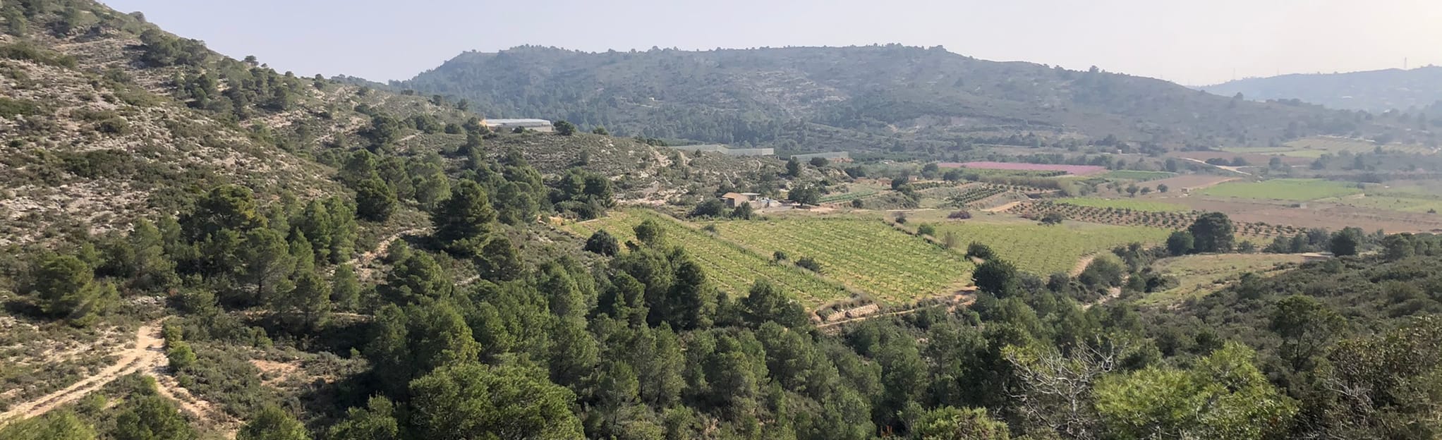 Sierra de Aledua - Pico Besori, Valencia, Spain - 12 Reviews, Map ...