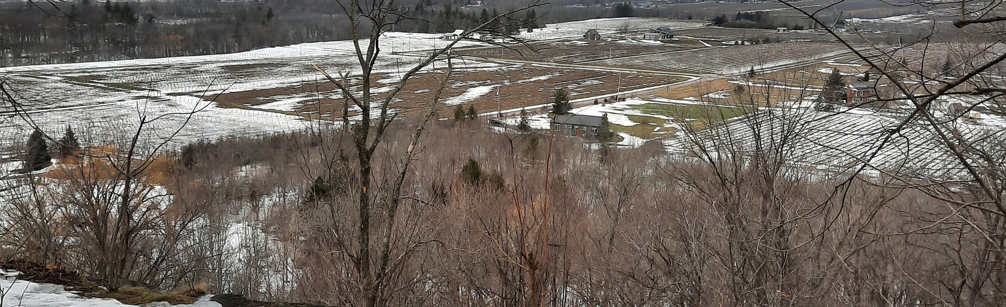 Cave Spring Loop : 380 Photos - Ontario, Canada | Randonnée | AllTrails
