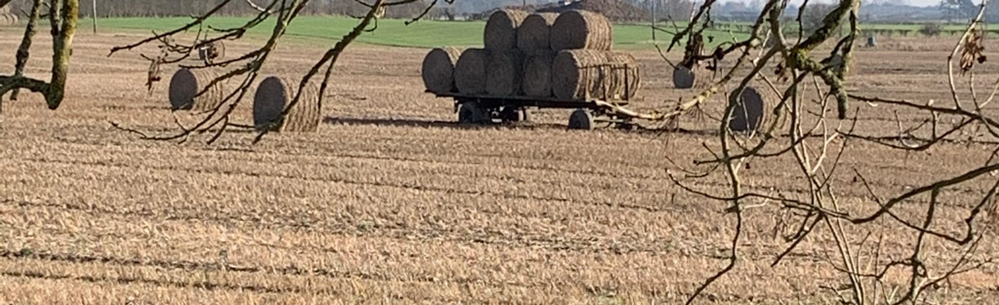 Nafferton to Wansford Circular: 27 Reviews, Map - East Riding of ...