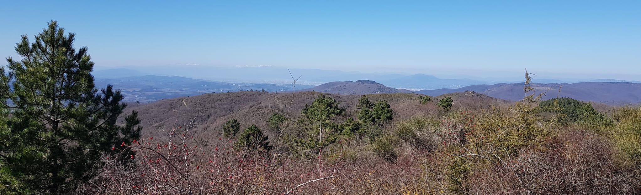 Monte San Michele - Montedomini - Masso Tondo, Tuscany, Italy - Map ...