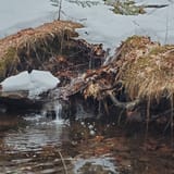 Spirit Pond Preserve, Maine - 130 Reviews, Map | AllTrails