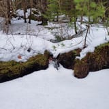 Spirit Pond Preserve, Maine - 130 Reviews, Map | AllTrails