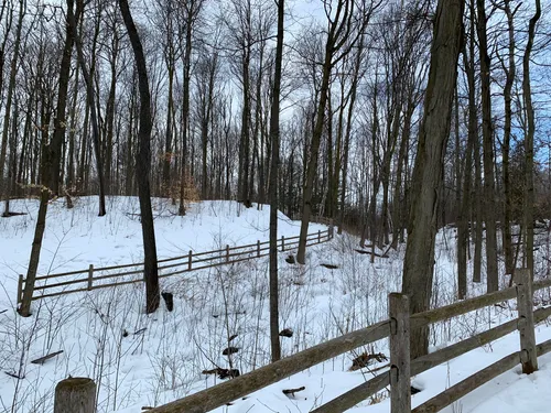 Best Hikes and Trails in Jefferson Forest | AllTrails