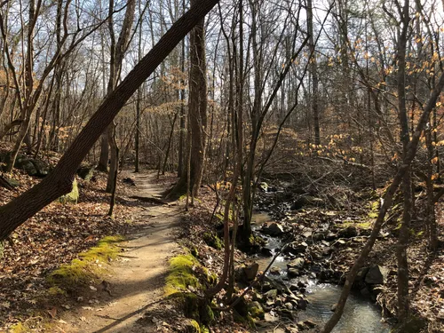 10 Best Trails and Hikes in Fort Mill | AllTrails