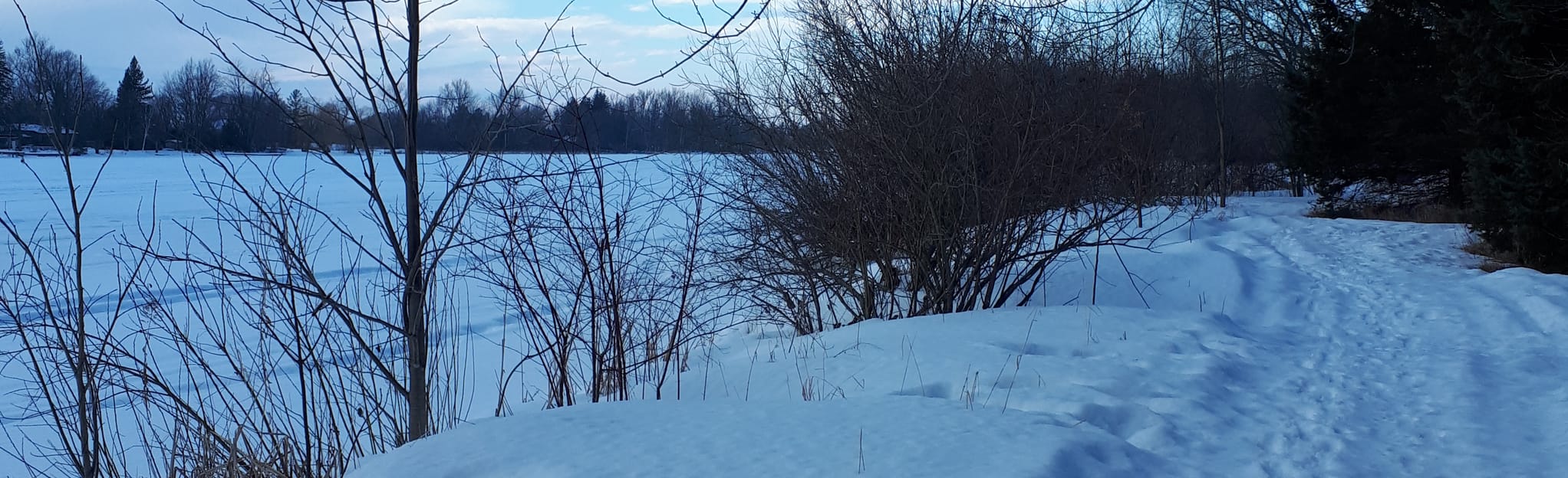 Taylor Conservation Area Loop: 2 Reviews, Map - Ontario, Canada | AllTrails