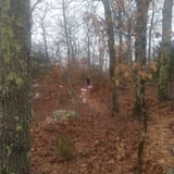 Ames Long Pond Trail, Massachusetts - 21 Reviews, Map | AllTrails