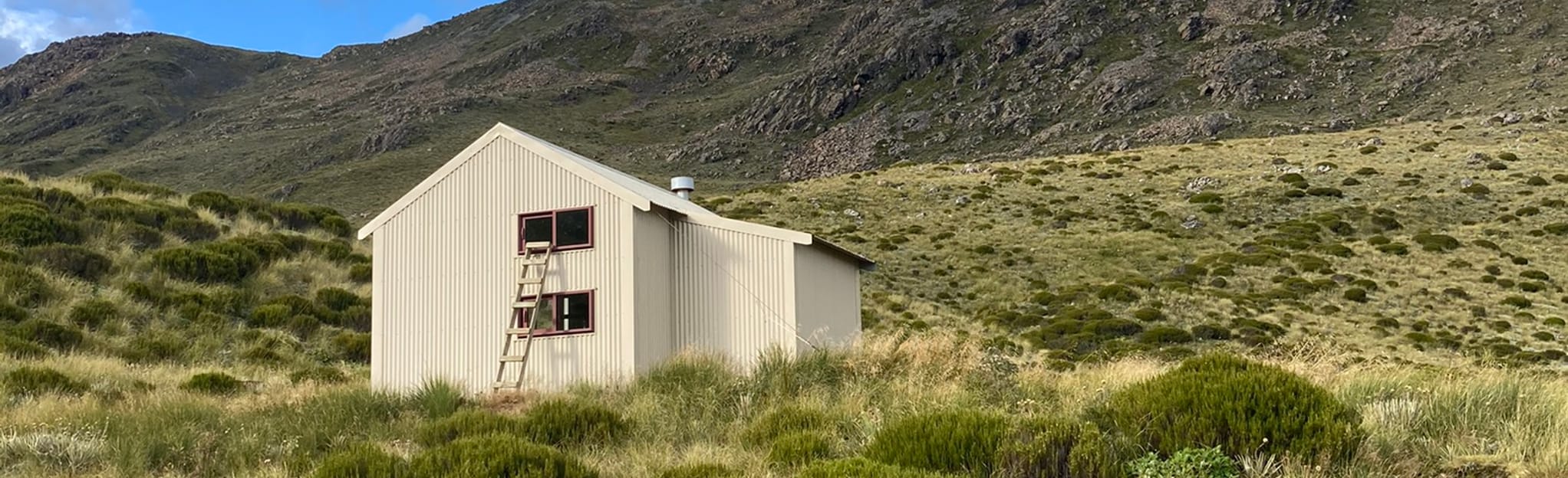 Carroll Hut Track, Canterbury, New Zealand - 24 Reviews, Map | AllTrails