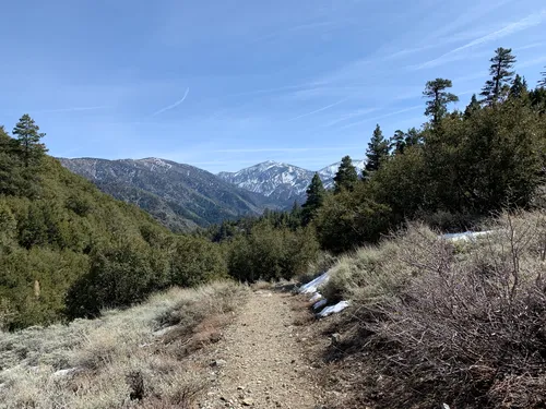 10 Best Trails and Hikes in Azusa | AllTrails
